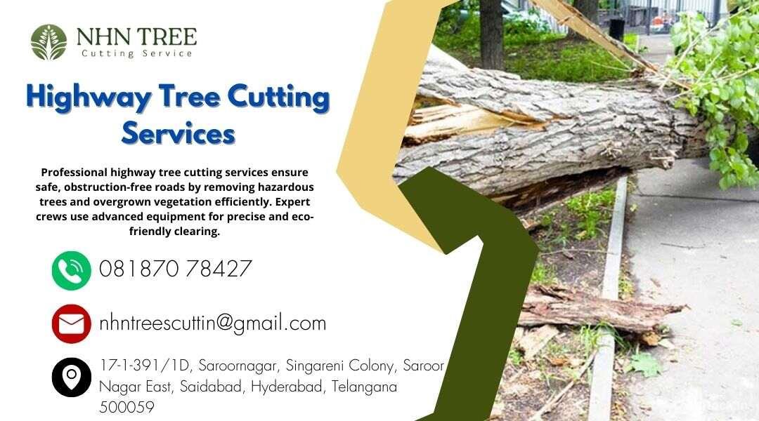 Best Highway Tree Cutting Services